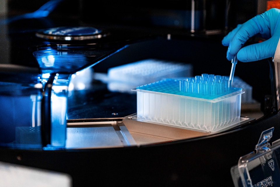 Choosing the Right Laboratory Service Provider for Your Needs - Labospace