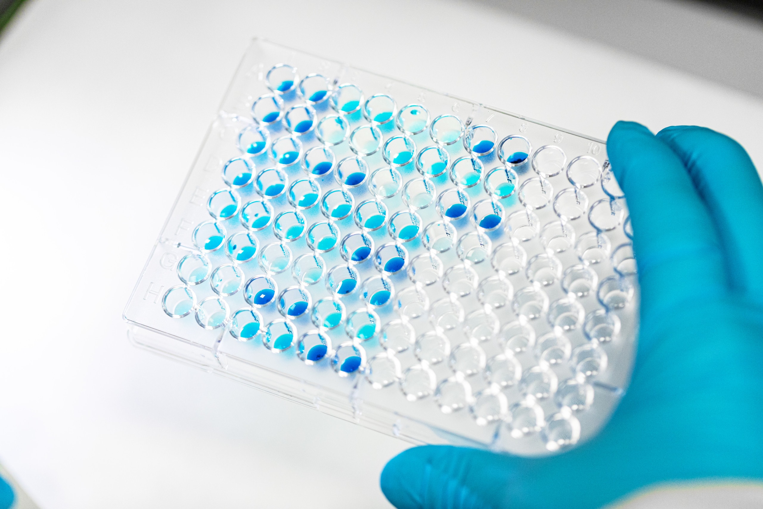 ELISA Assay Service: Accurate Results with Labospace - Labospace