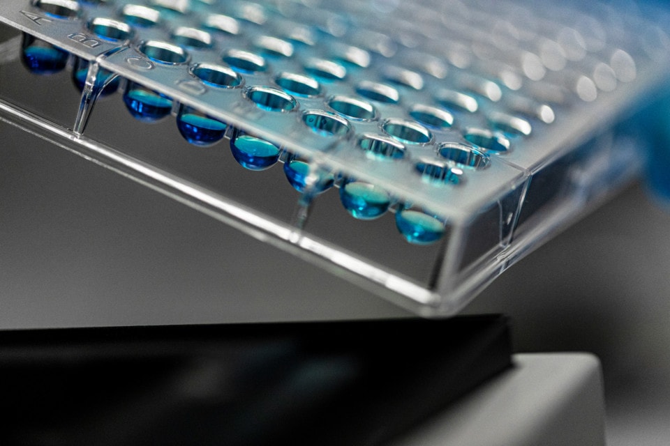 ELISA Assay Service: Accurate Results with Labospace - Labospace