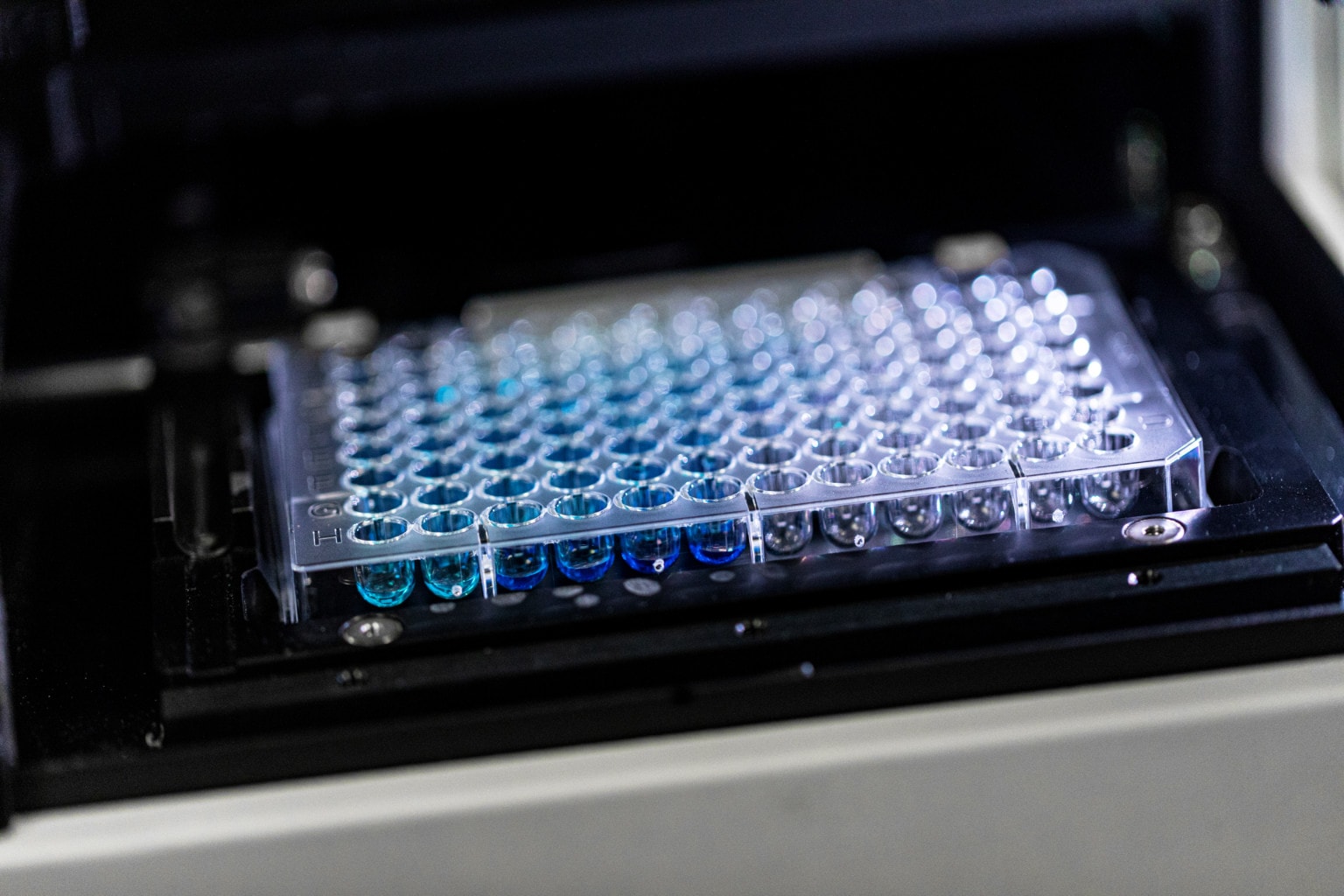 Fine Test – Labospace