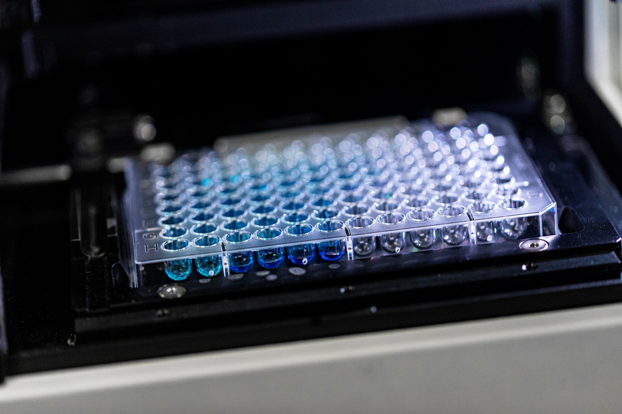 Fine Test – Labospace