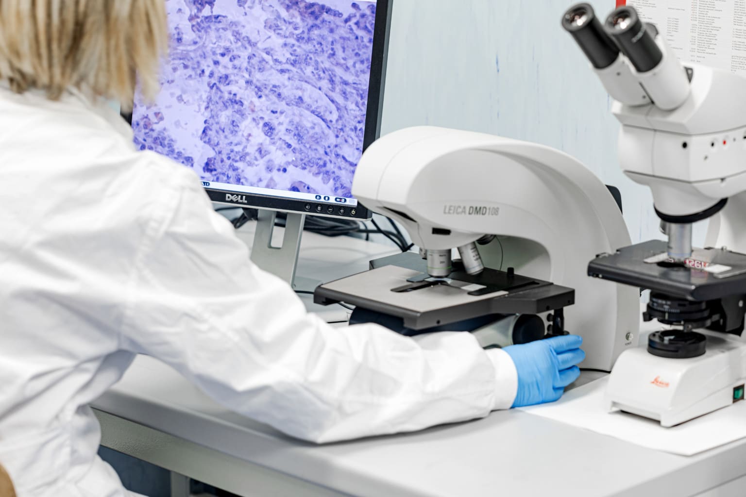 Start your project - Pathology - Labospace