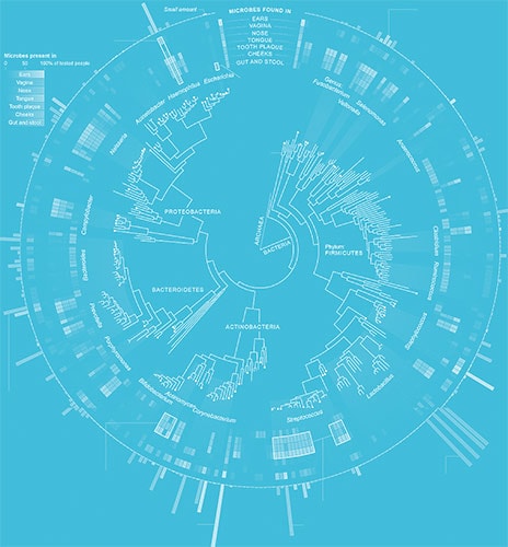Exploring the World of the Microbiome - Labospace